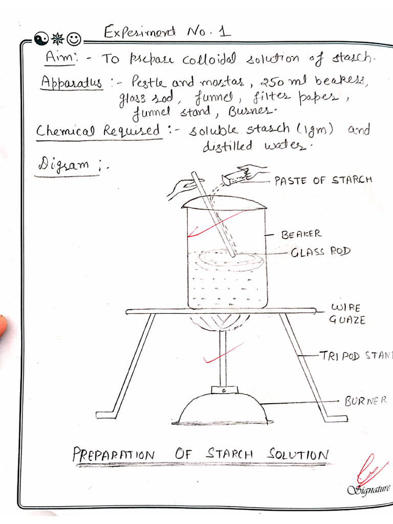 XII Demo Practical File CHEM 25-26-250624 - 213945 | PDF