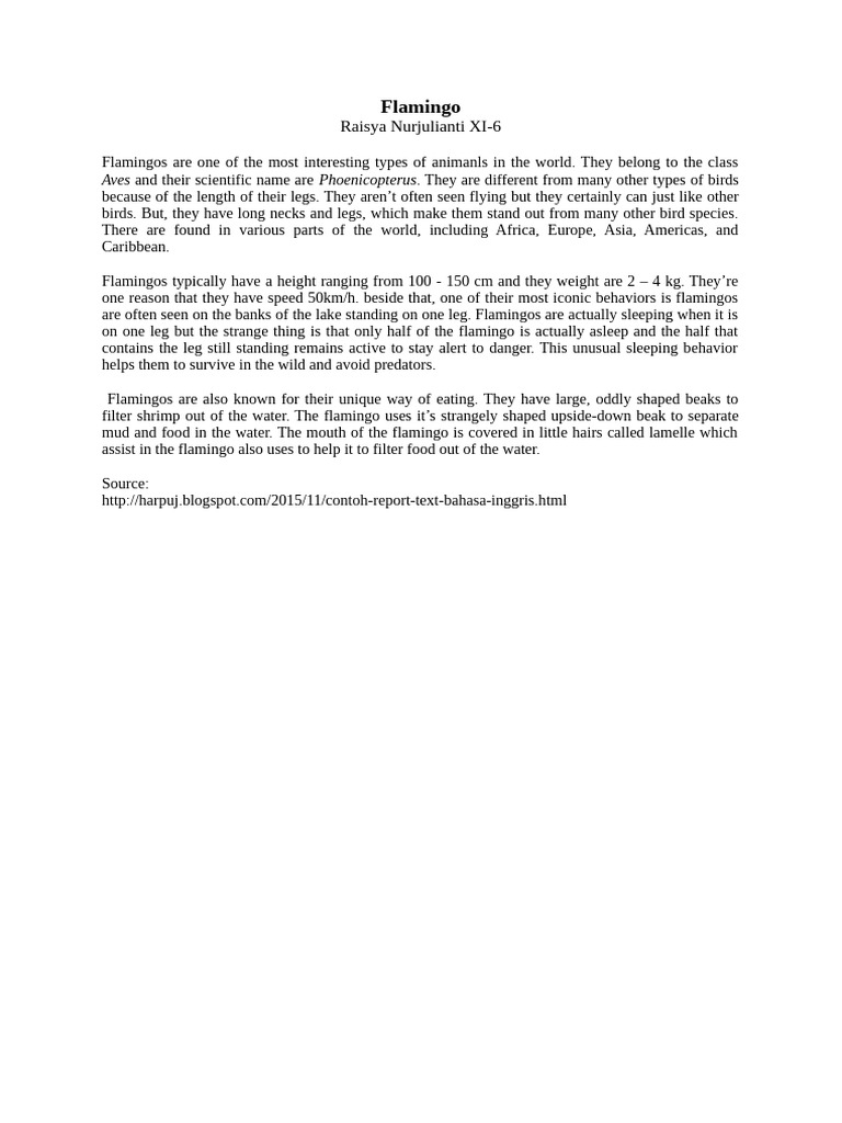 Flamingo | PDF