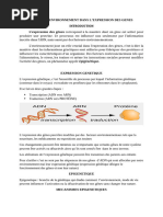 Rôle et anatomie du centre ovale cérébral | PDF | Cerveau | Cortex cérébral