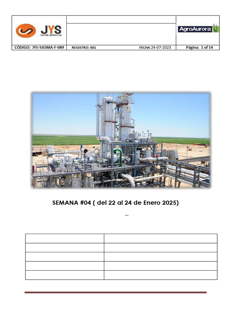 Formato de Reporte Ssoma Word | PDF