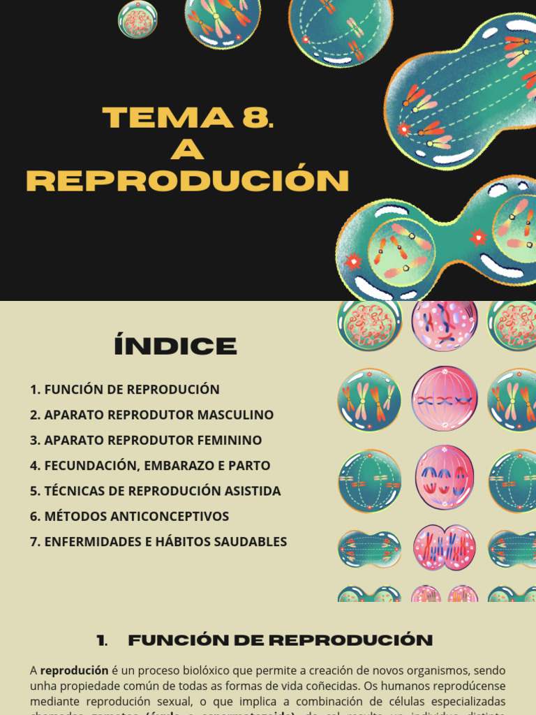 Tema 7. A Reprodución PDF | PDF