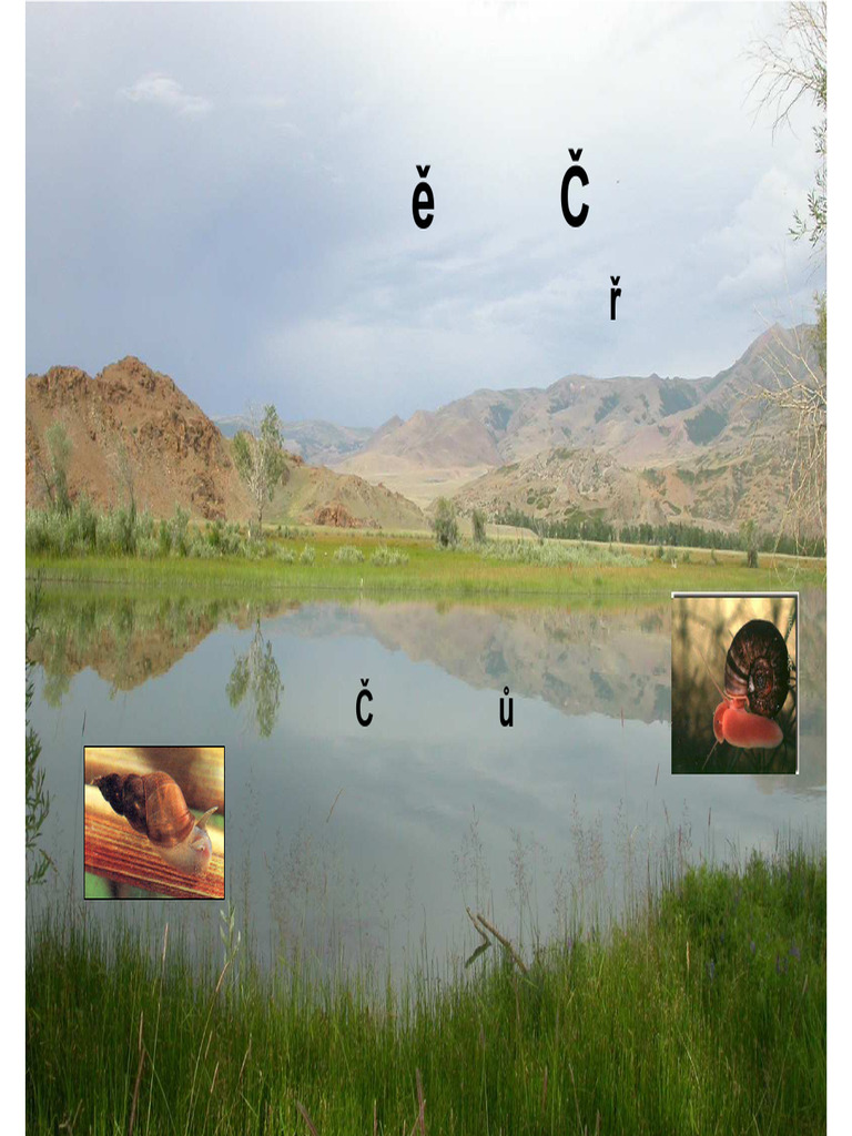 Vodni Plzi CR 09 | PDF