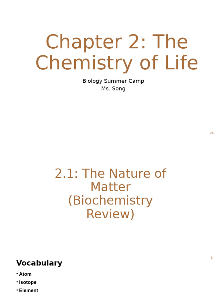 Chemistry of Life: Biochemistry Basics | PDF | Carbohydrates | Chemical ...