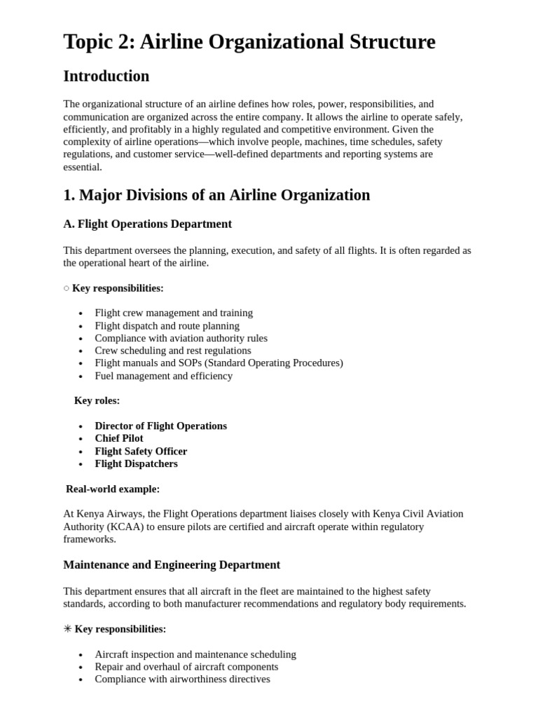 Airline Organizational Structure | PDF | Airlines | Low Cost Carrier