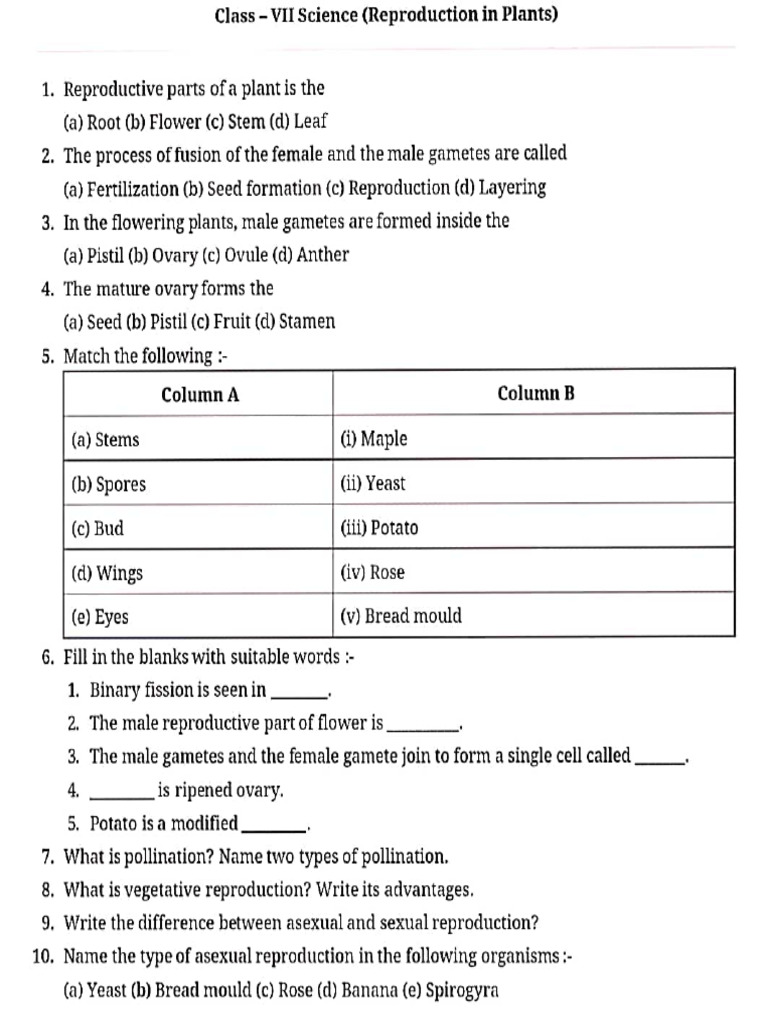 Class 7 Science Worksheet CH Reproduction | PDF