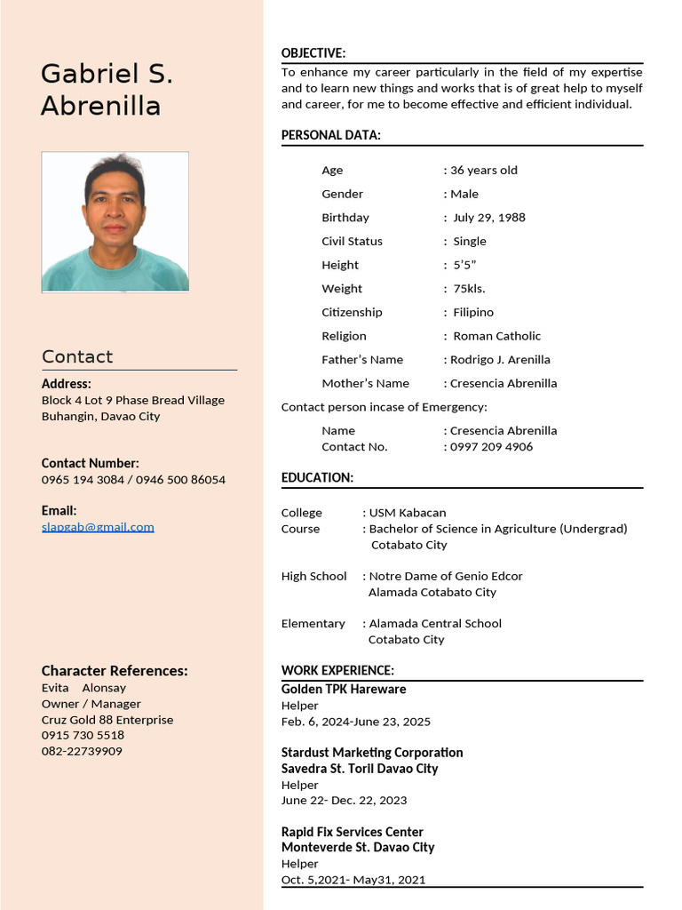 Andrenilla CV SAMPLE FORMAT | PDF