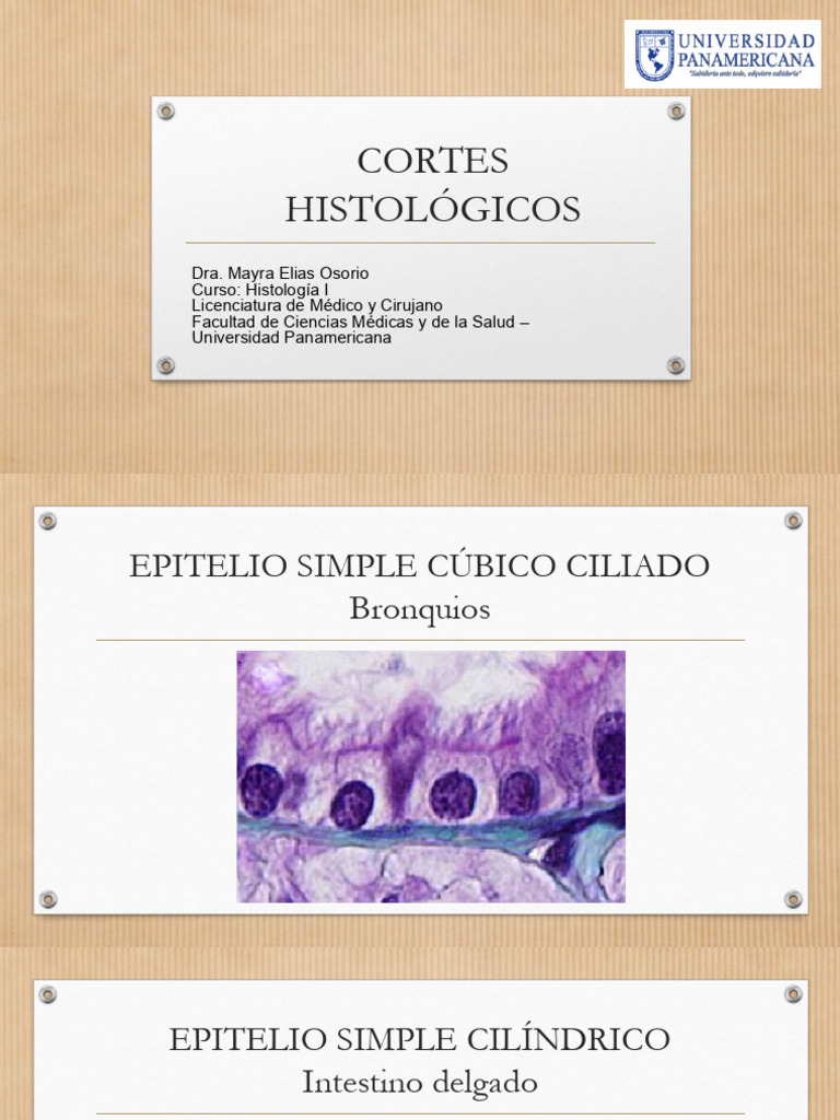Cortes Histológicos | PDF