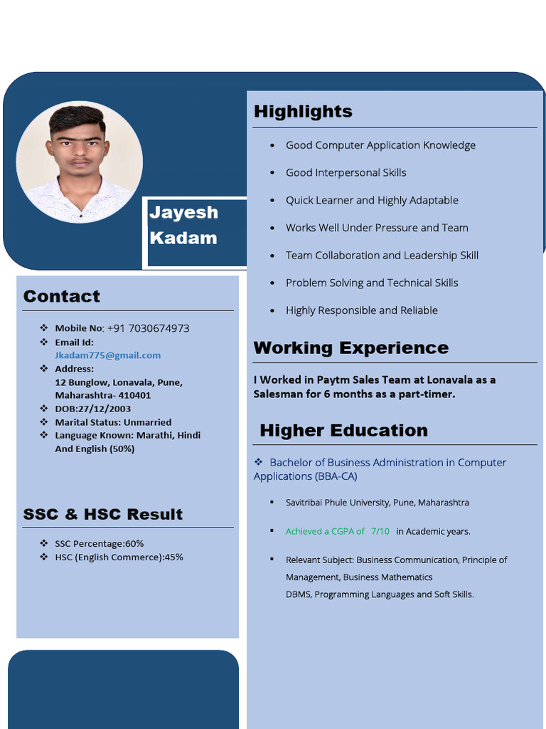 Jayesh CV | PDF