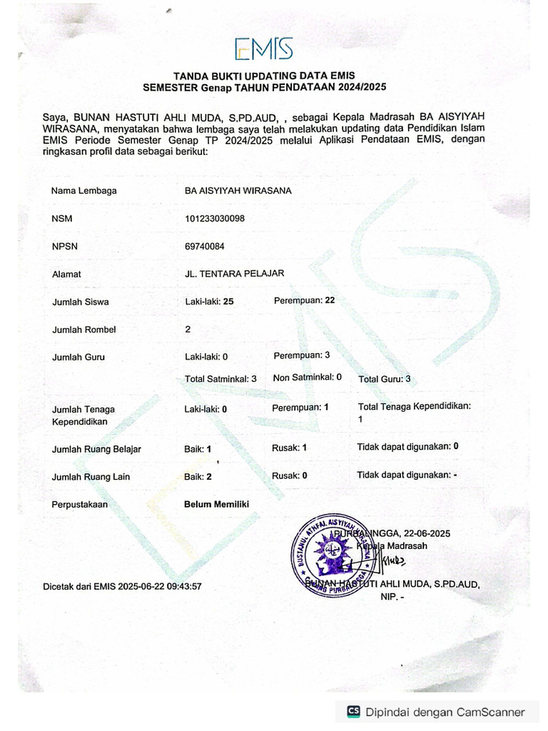 BAP Emis BLN Juni | PDF