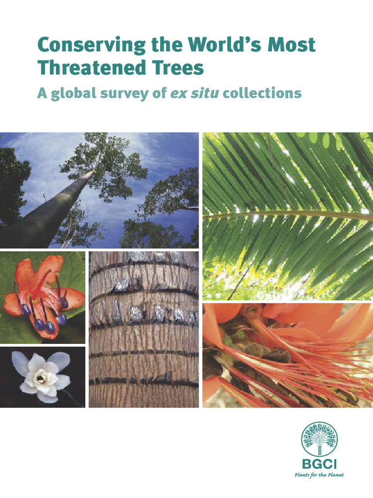 Ex Situ Conserving The World's Most Threatened Trees | PDF ...