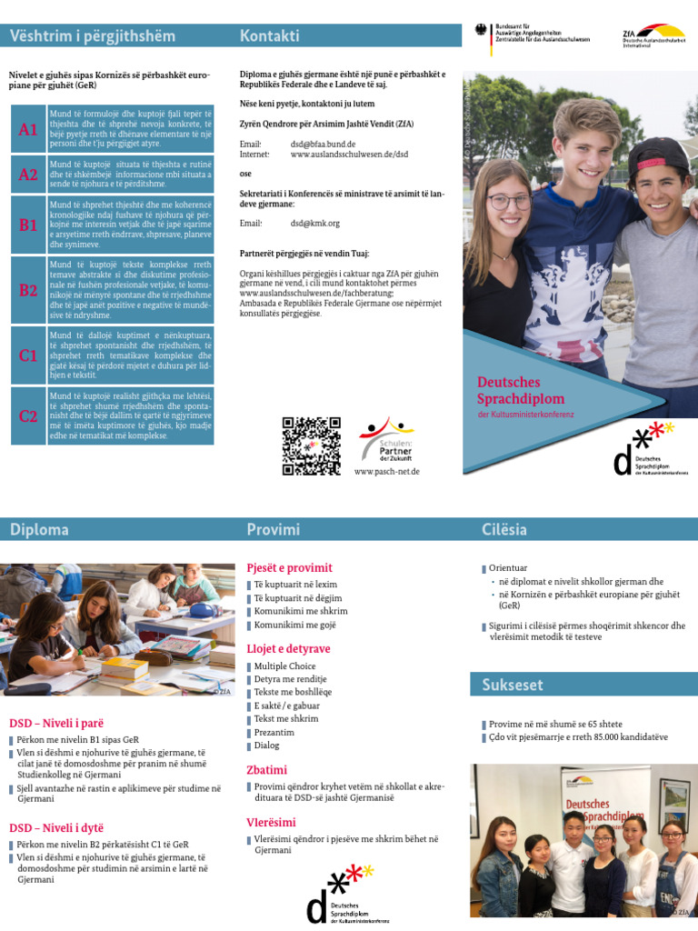 DSD Flyer Albanisch | PDF