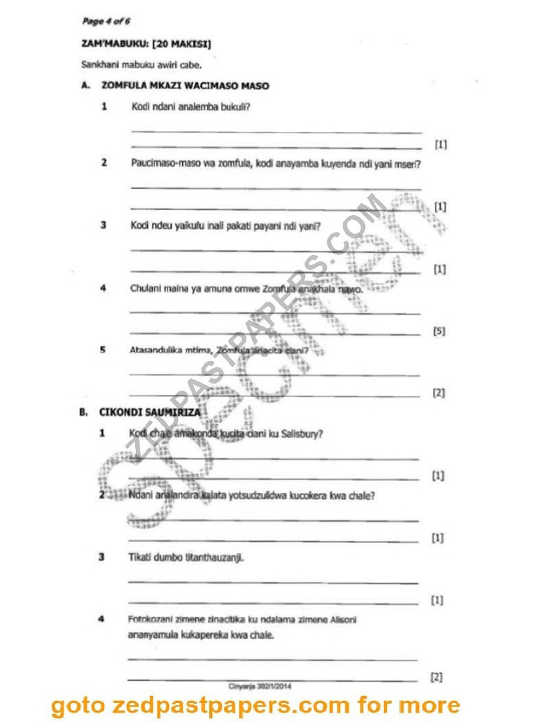 g9 Chinyanja p2 2014 Specimen | PDF