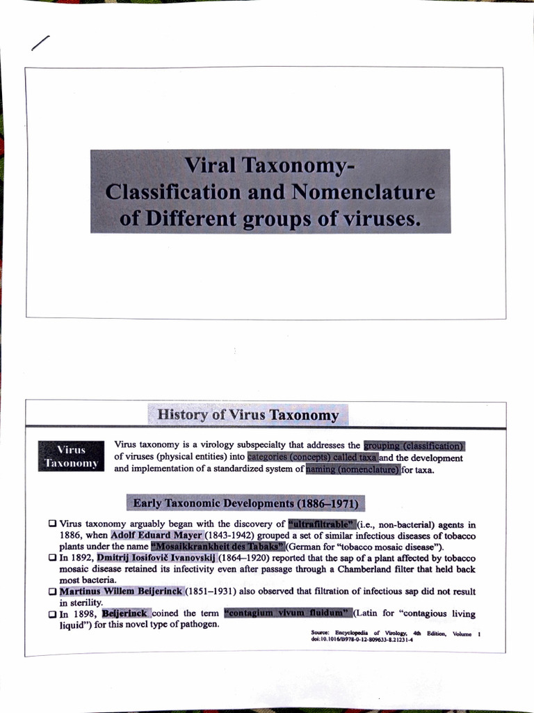 Viral Taxonomy | PDF