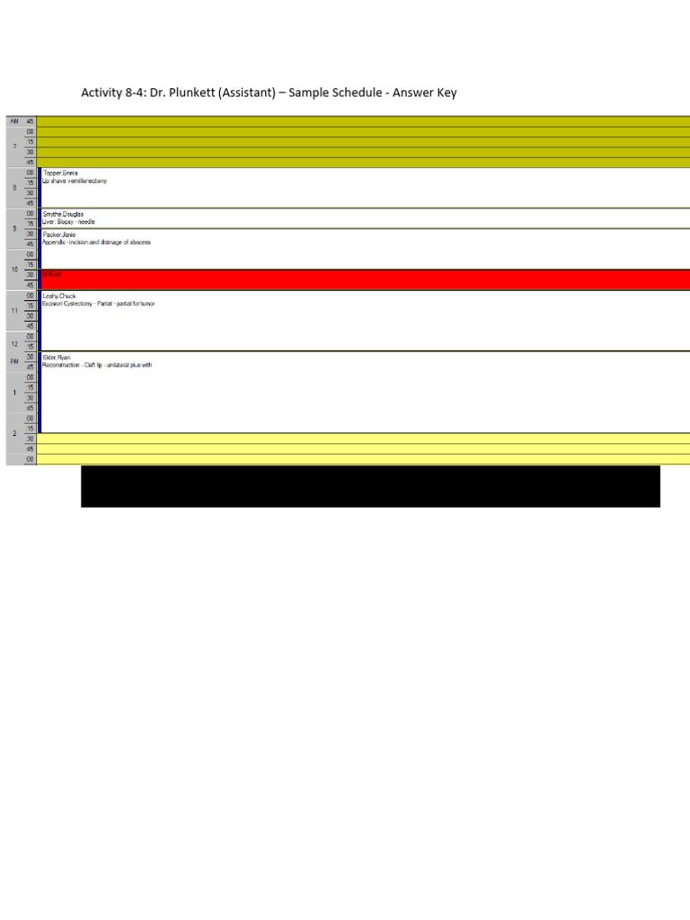 Activity 8-4 DR Plunkett ASSISTANT Sample Schedule | PDF