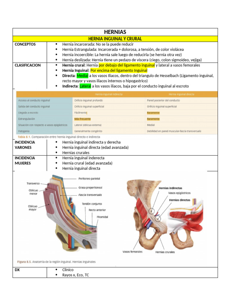 HERNIAS | PDF