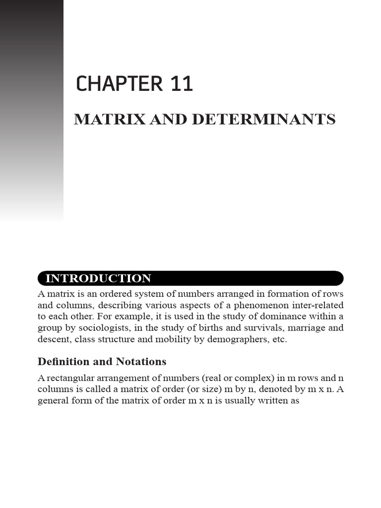 Business Mathematics (p244-271) | PDF | Matrix (Mathematics) | Determinant