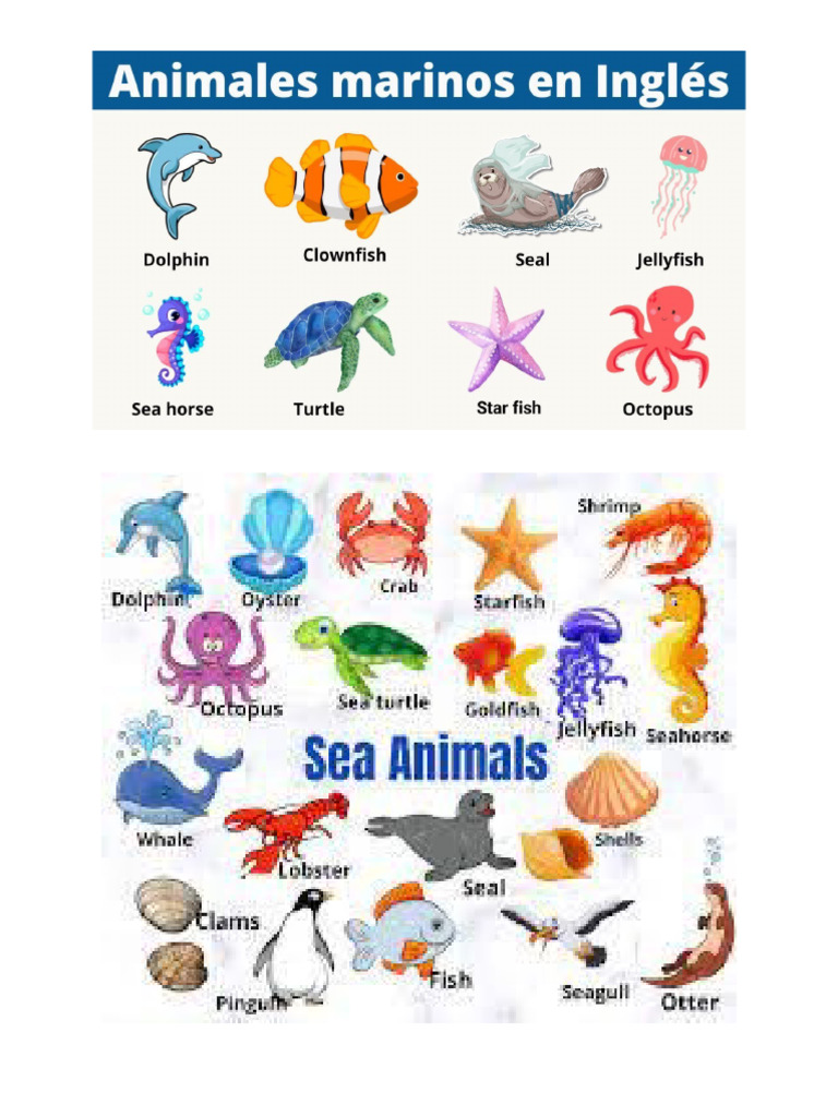 Animales de Mar en Ingles | PDF
