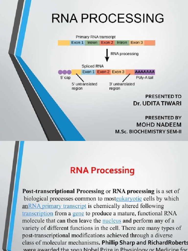 Rna Processing | PDF