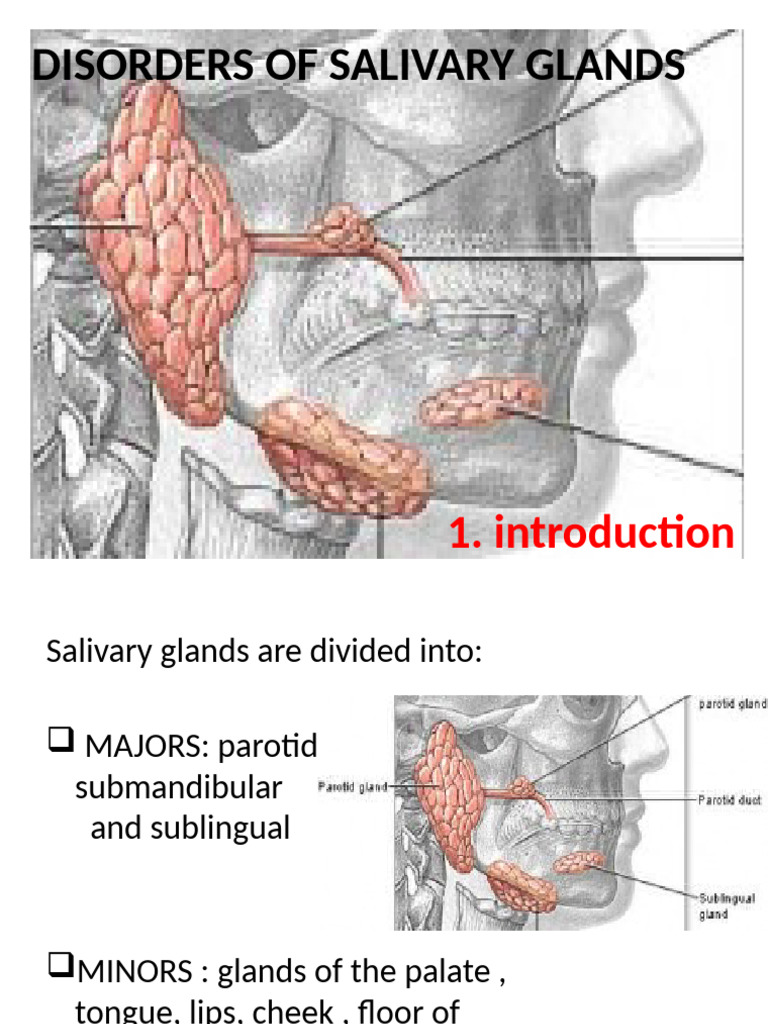 Salivary Gland Disorders Overview | PDF | Adenoma | Medical Specialties