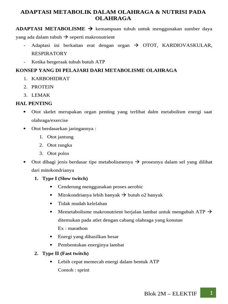 Metabolisme Olahraga dan Nutrisi Atlet | PDF