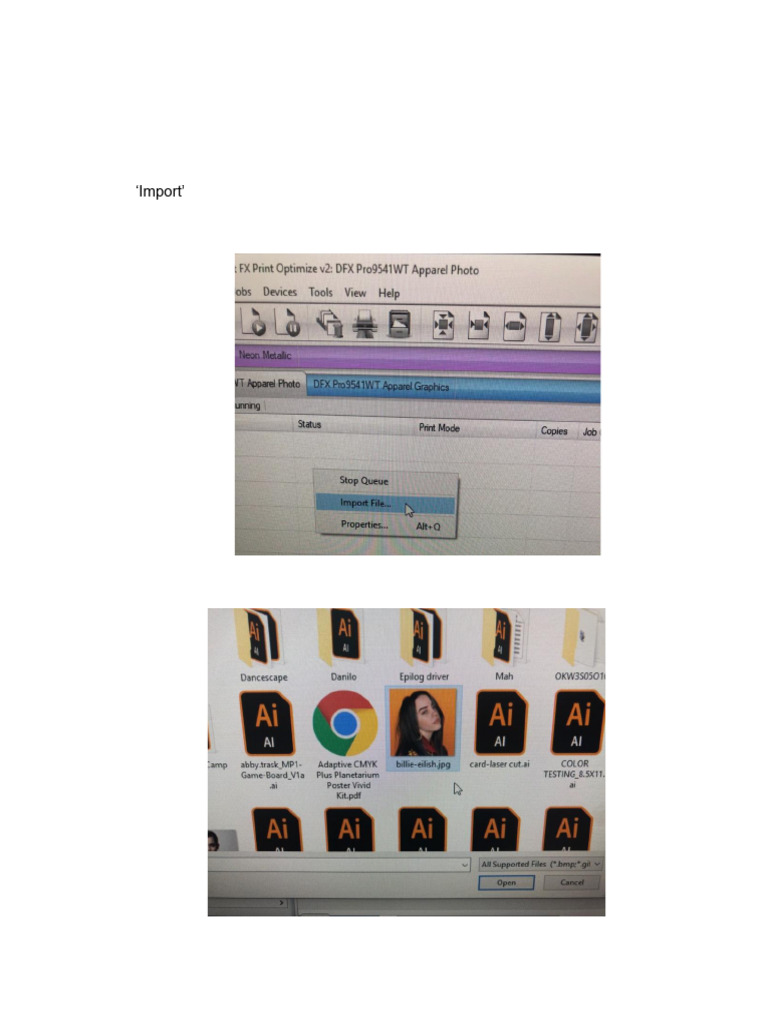 RIP Print Optimizer Tutorial | PDF