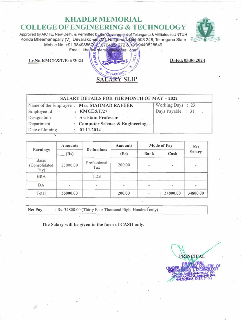 Rafeeq JUNE Pay Slip | PDF