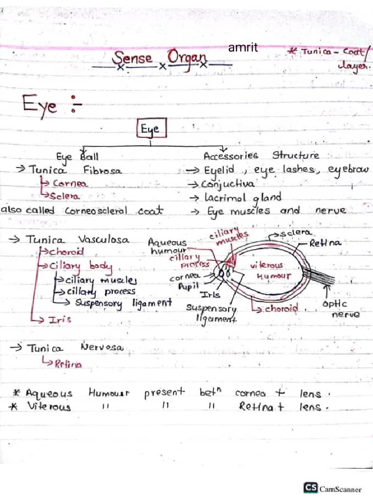 Eye Note | PDF