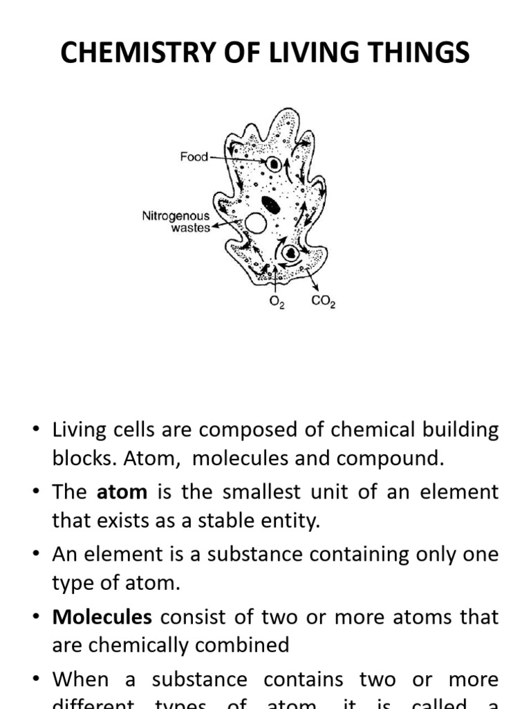 Chemistry of Life: Atoms to Molecules | PDF | Lipid | Carbohydrates