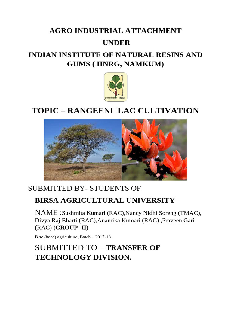 Rangeeni Lac Cultivation Report | PDF