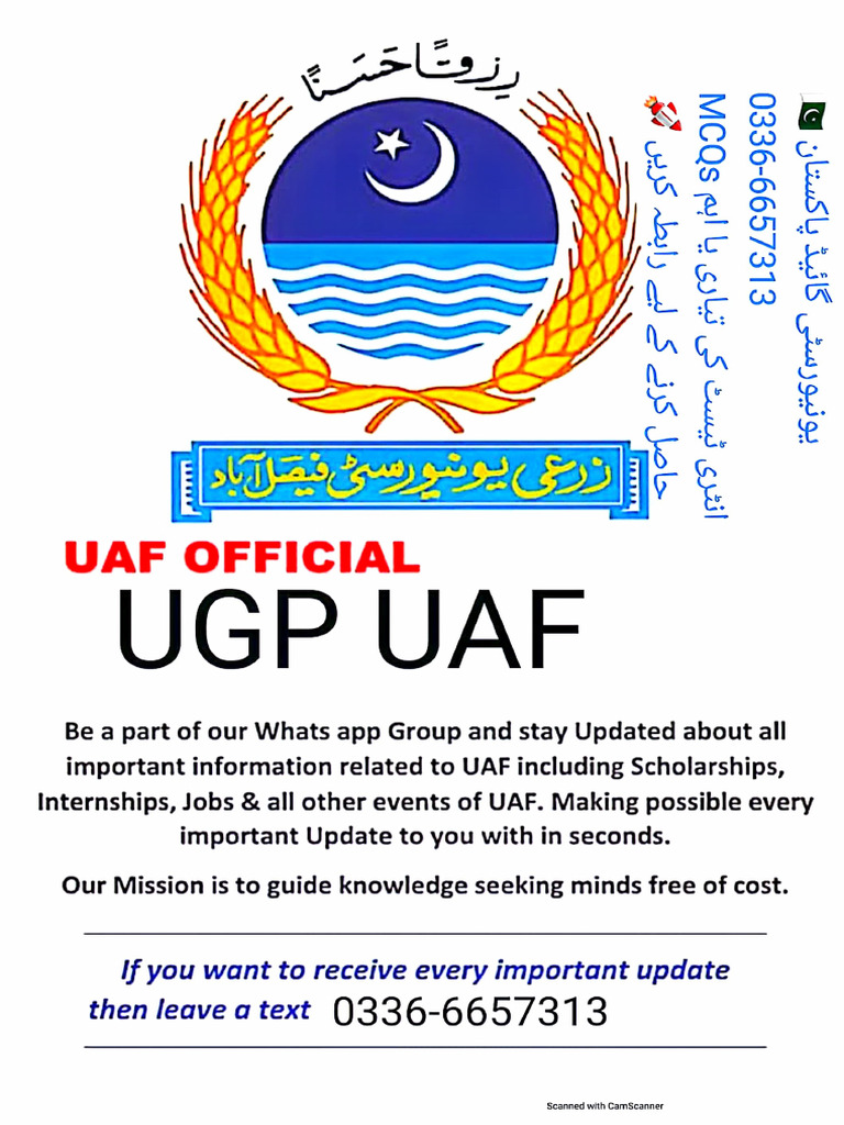 UAF Solved Past Papers 2024 For Entry Test Preparation. | PDF
