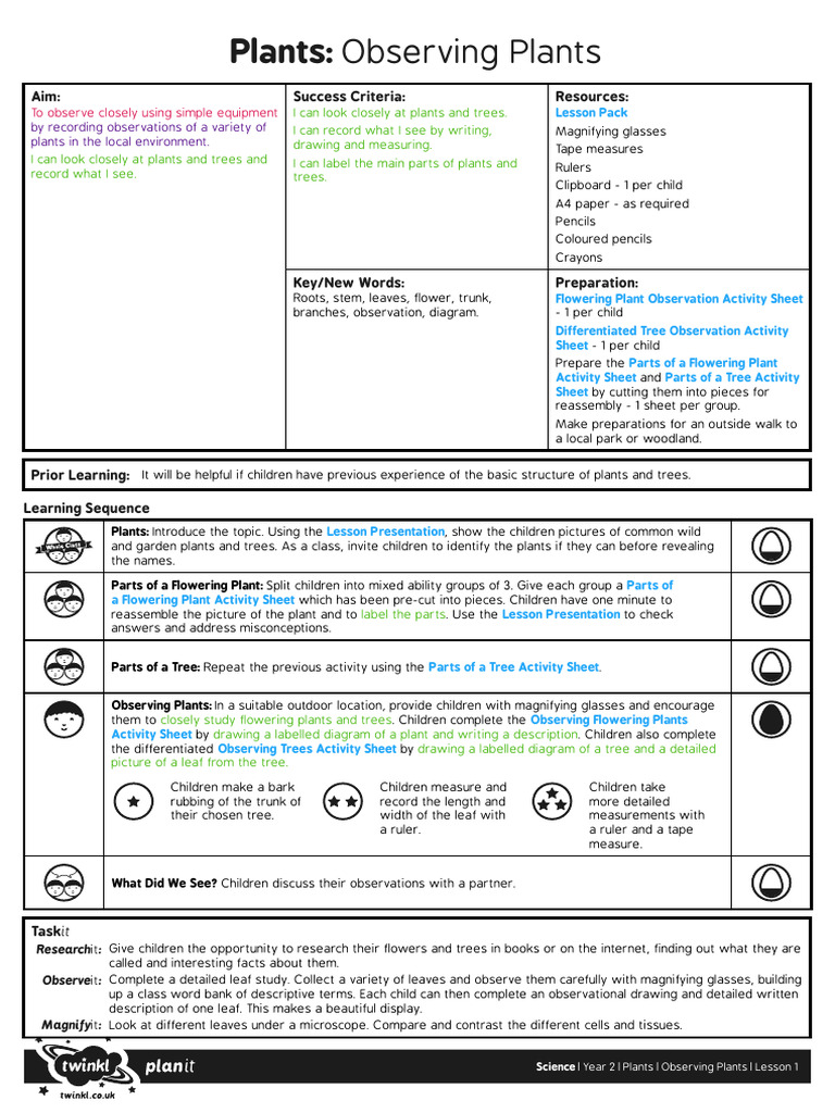 Observing Plants: Year 2 Science Lesson | PDF | Trees | Plants