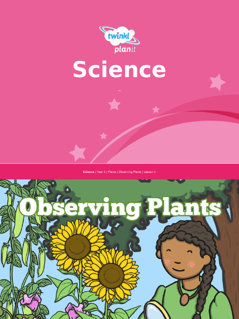 Lesson Presentation Observing Plants | PDF | Plants | Botany