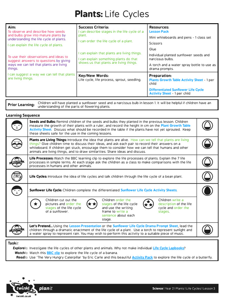 Lesson Plan Life Cycles | PDF | Plants | Seed