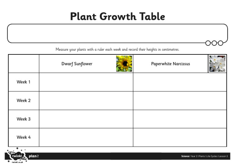 Activity Sheet Plant Growth Table | PDF