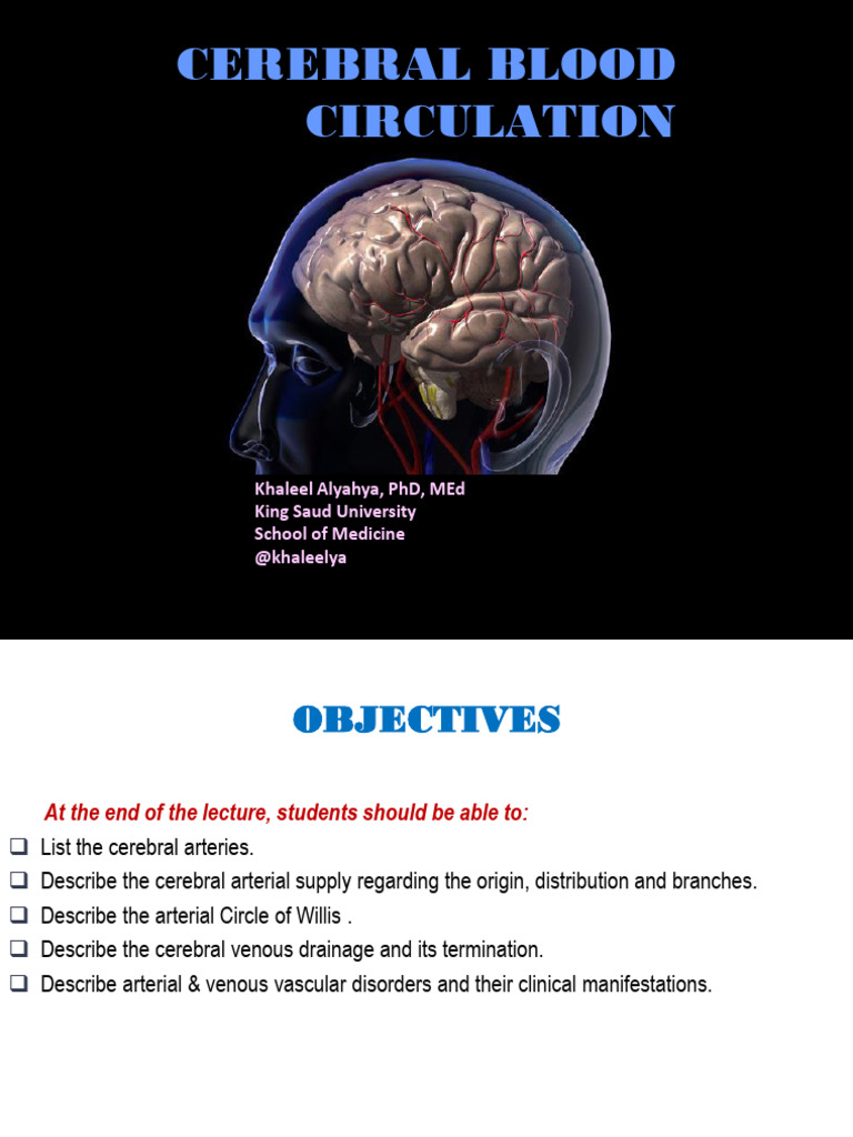 Deep Cerebral Vein Overview | PDF | Vein | Cerebrum