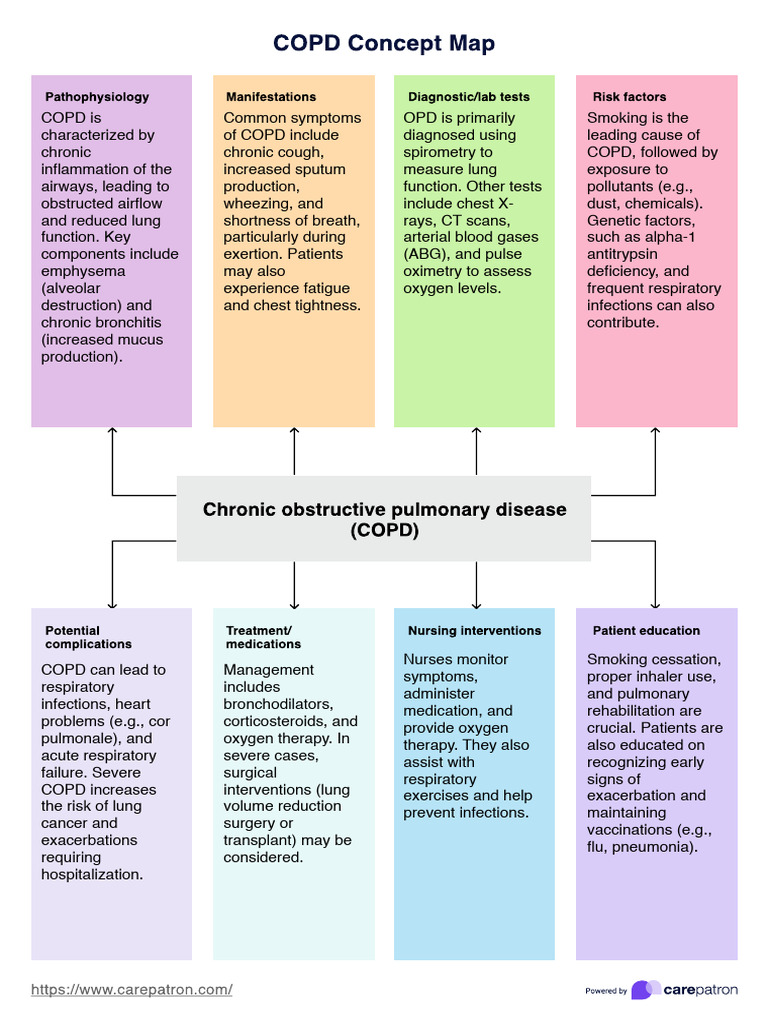 Copd Concept Map Sample | PDF | Chronic Obstructive Pulmonary Disease ...