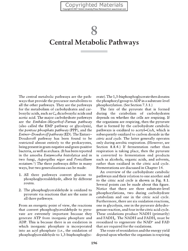 Central Metabolic Pathways | PDF