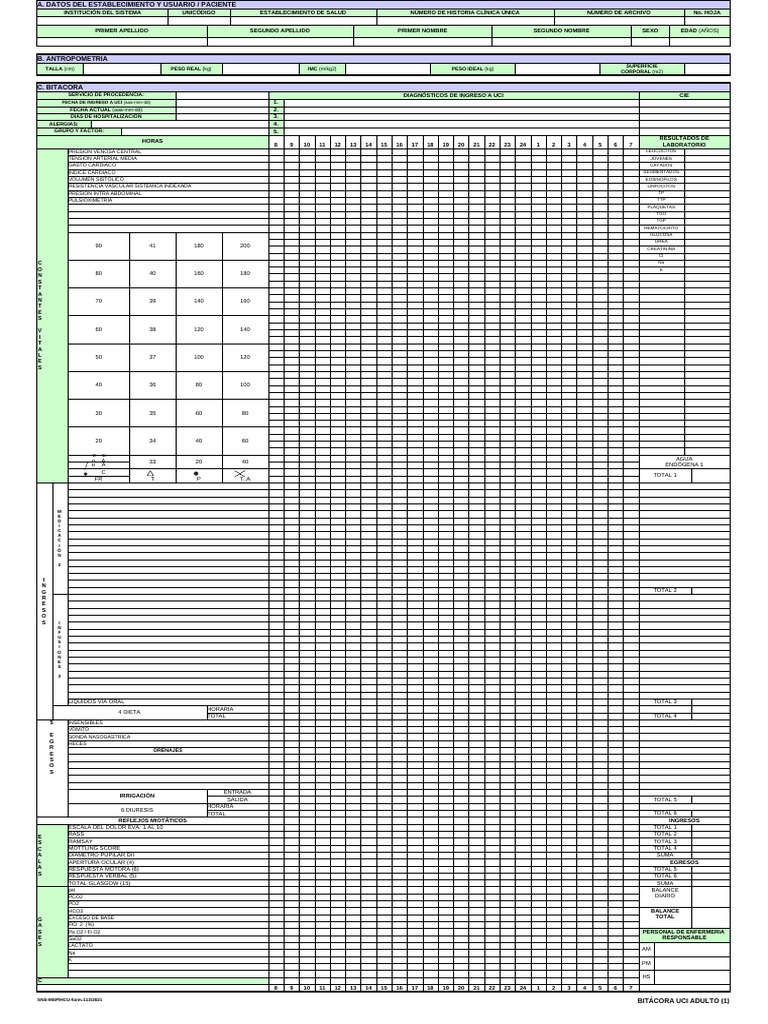 SNS-MSP Hcu-Form.113 - 2021 Bitacora Uci Adulto 2021 | PDF | Sistema ...