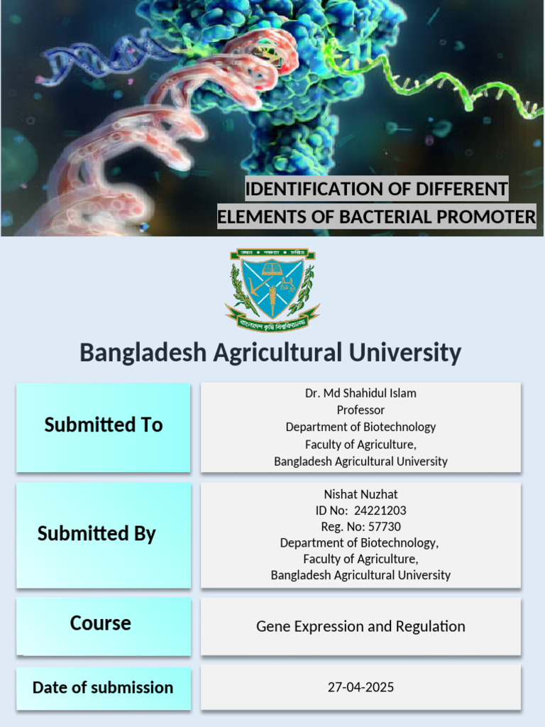 Bacterial Promoter Elements Identification | PDF
