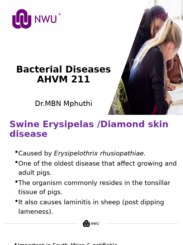 Unit 1-Swine Erysipelas | PDF | Diseases And Disorders | Medical Specialties