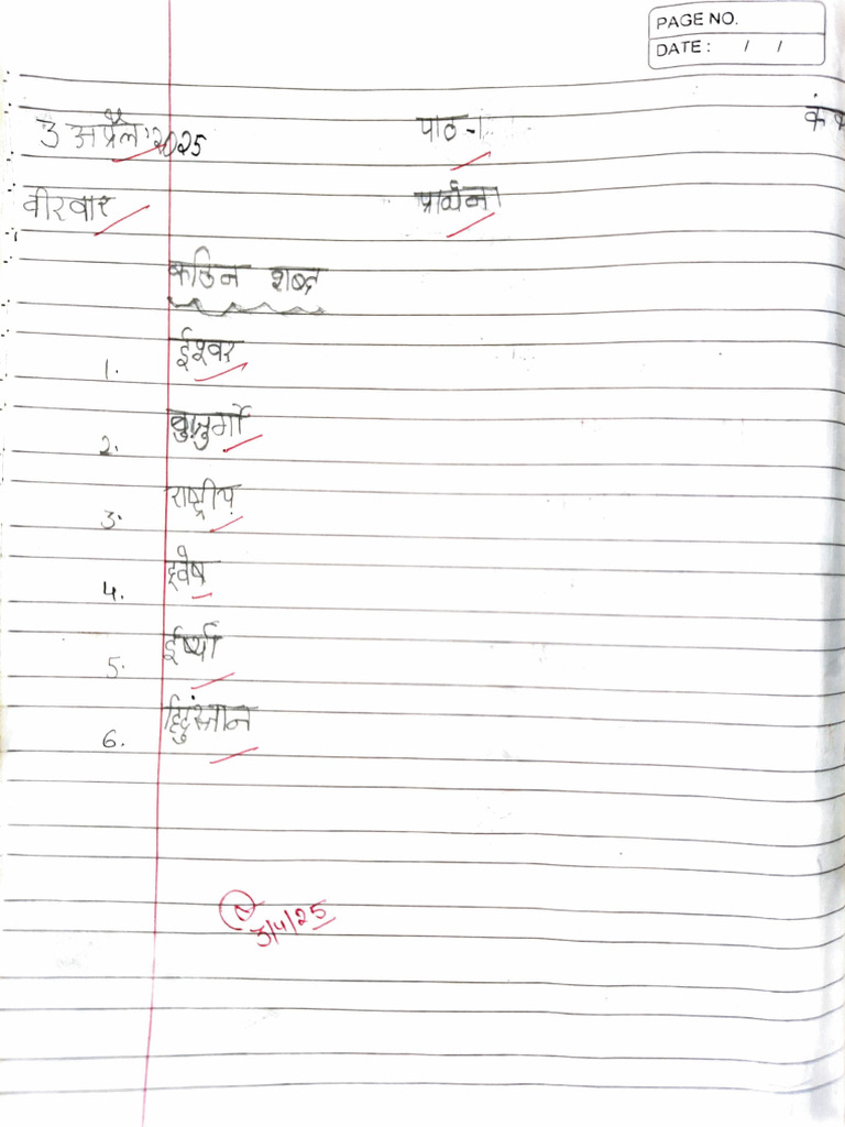 Hindi Notebook Work Overview | PDF