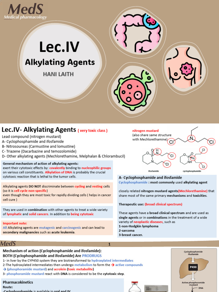 Overview of Alkylating Agents in Cancer Therapy | PDF | Clinical ...