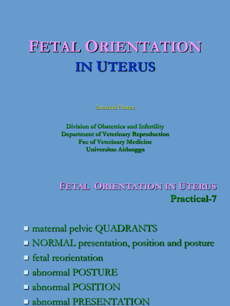 Fetal Orientation in Uterus | PDF | Pelvis | Musculoskeletal System