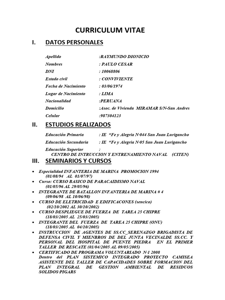 Curriculum Actual PAULO | PDF