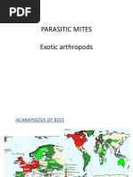 Mixed Hive Guide | PDF | Beehive | Bees