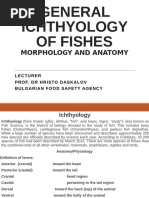 Fish Dissection Guide for Systems | PDF | Digestion | Fish