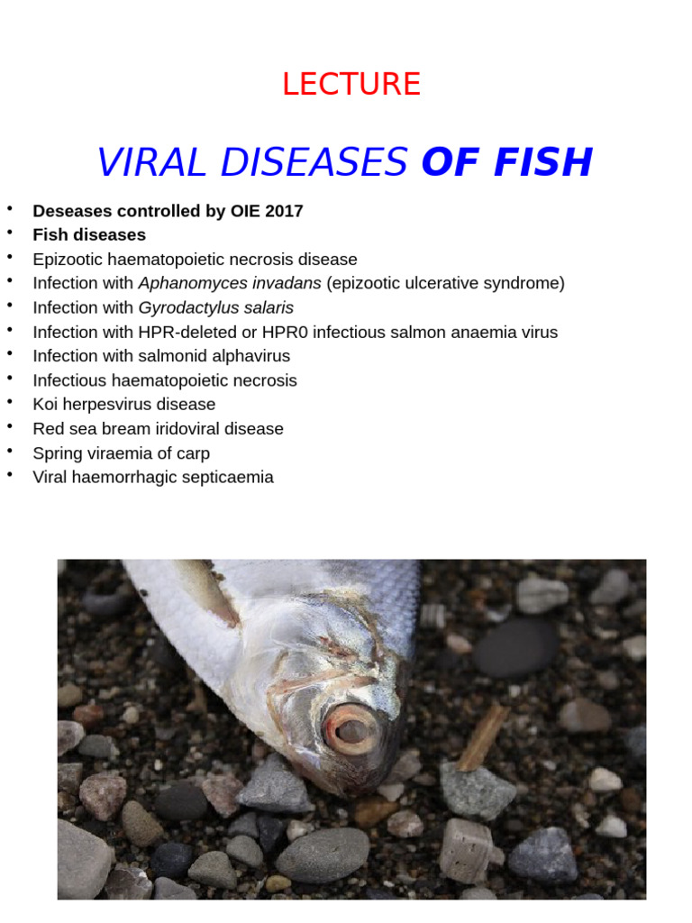 Viral Diseases: of Fish | PDF | Virus | Virology