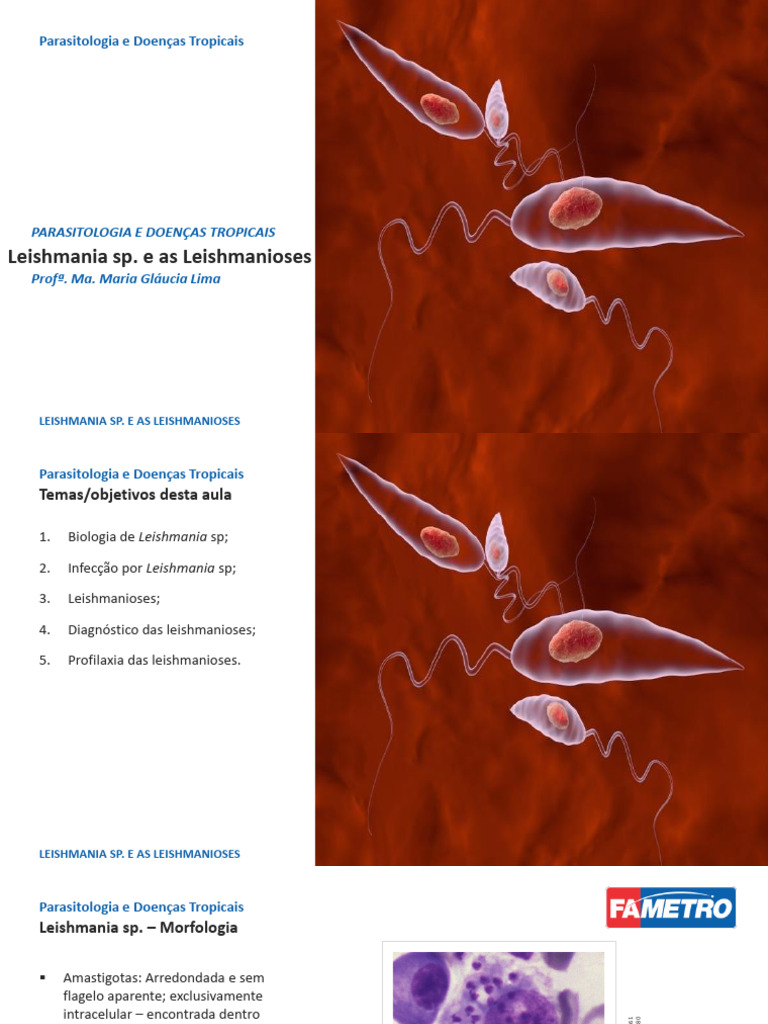 Leishmania e Leishmanioses: Biologia e Diagnóstico | PDF | Leishmania ...