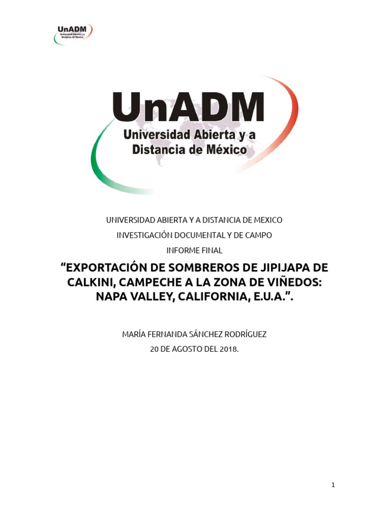 Integracion y Redaccion de Informe Final MFSR Unadm | PDF