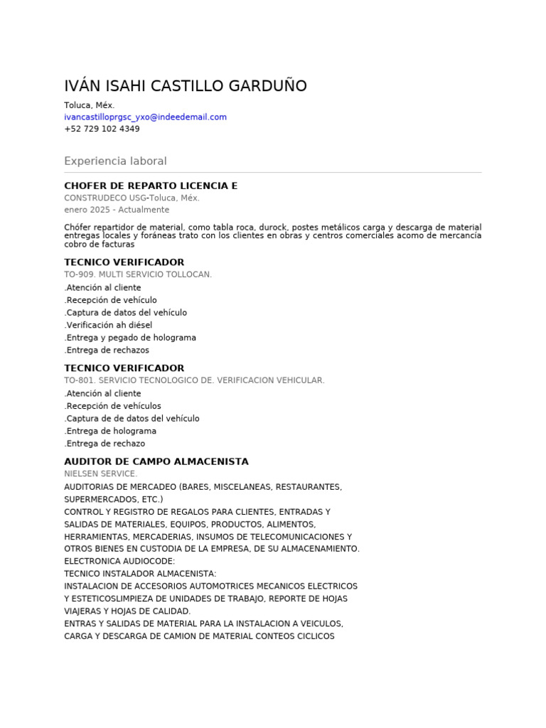Experiencia Laboral de Iván Isahi Castillo | PDF